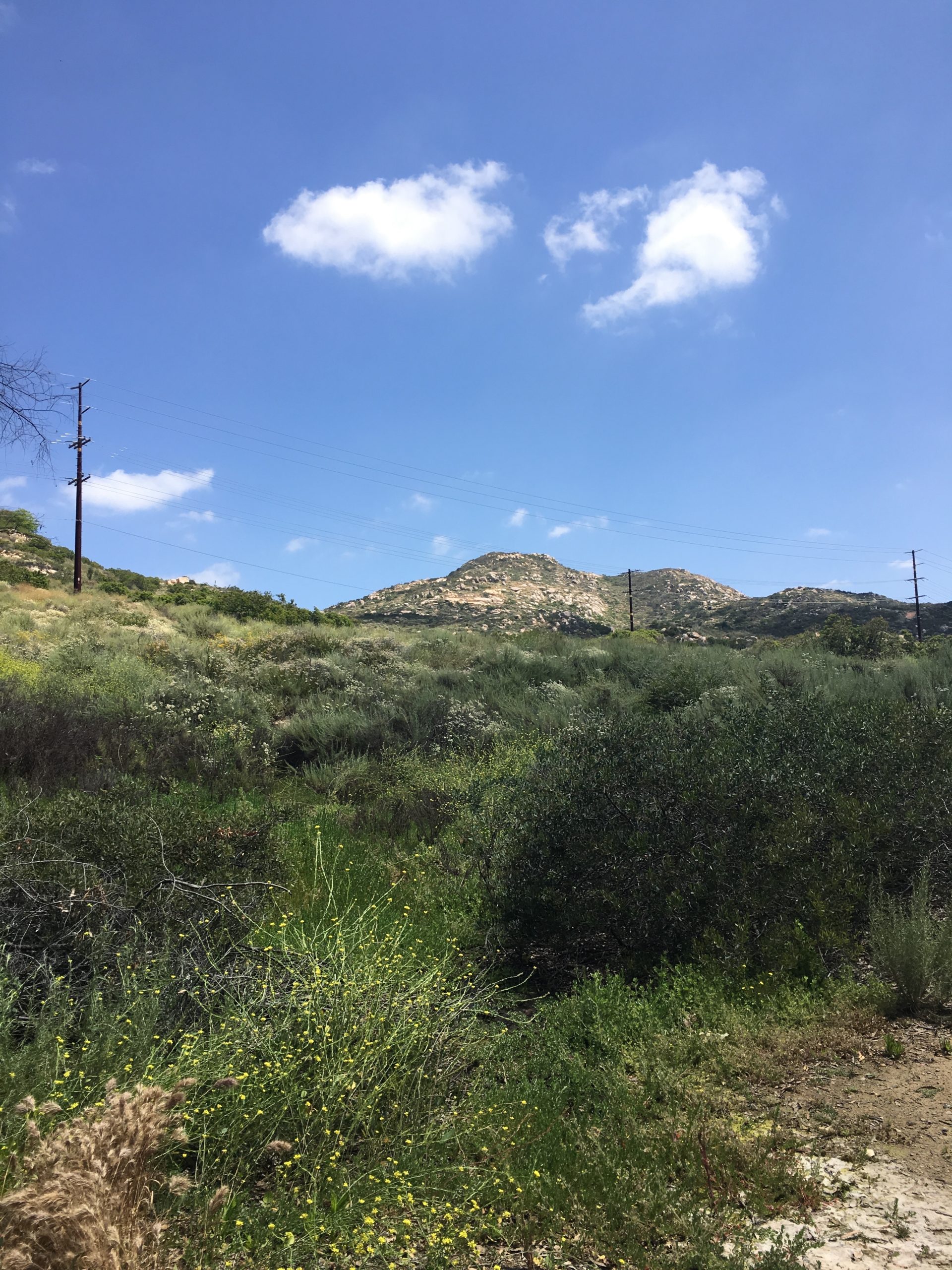 Twin Peaks – San Diego Peak Bagging