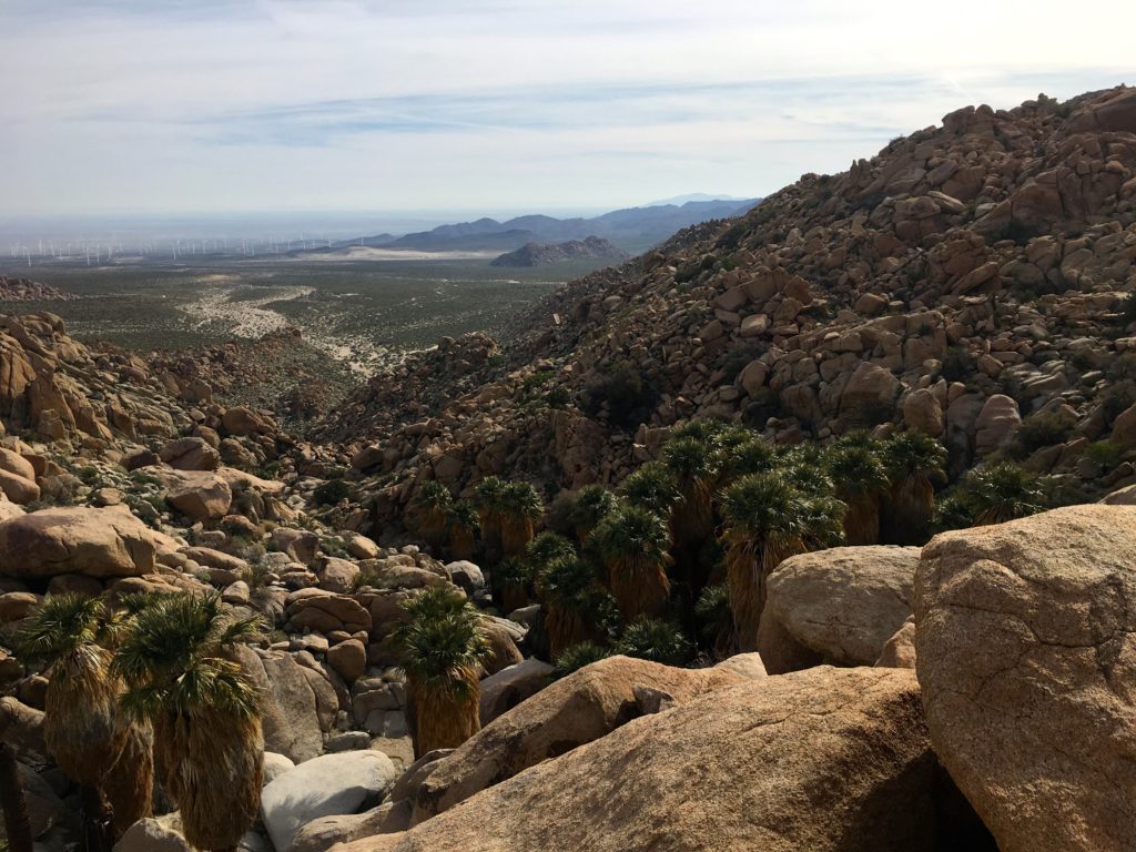 Jacumba Mountain – San Diego Peak Bagging