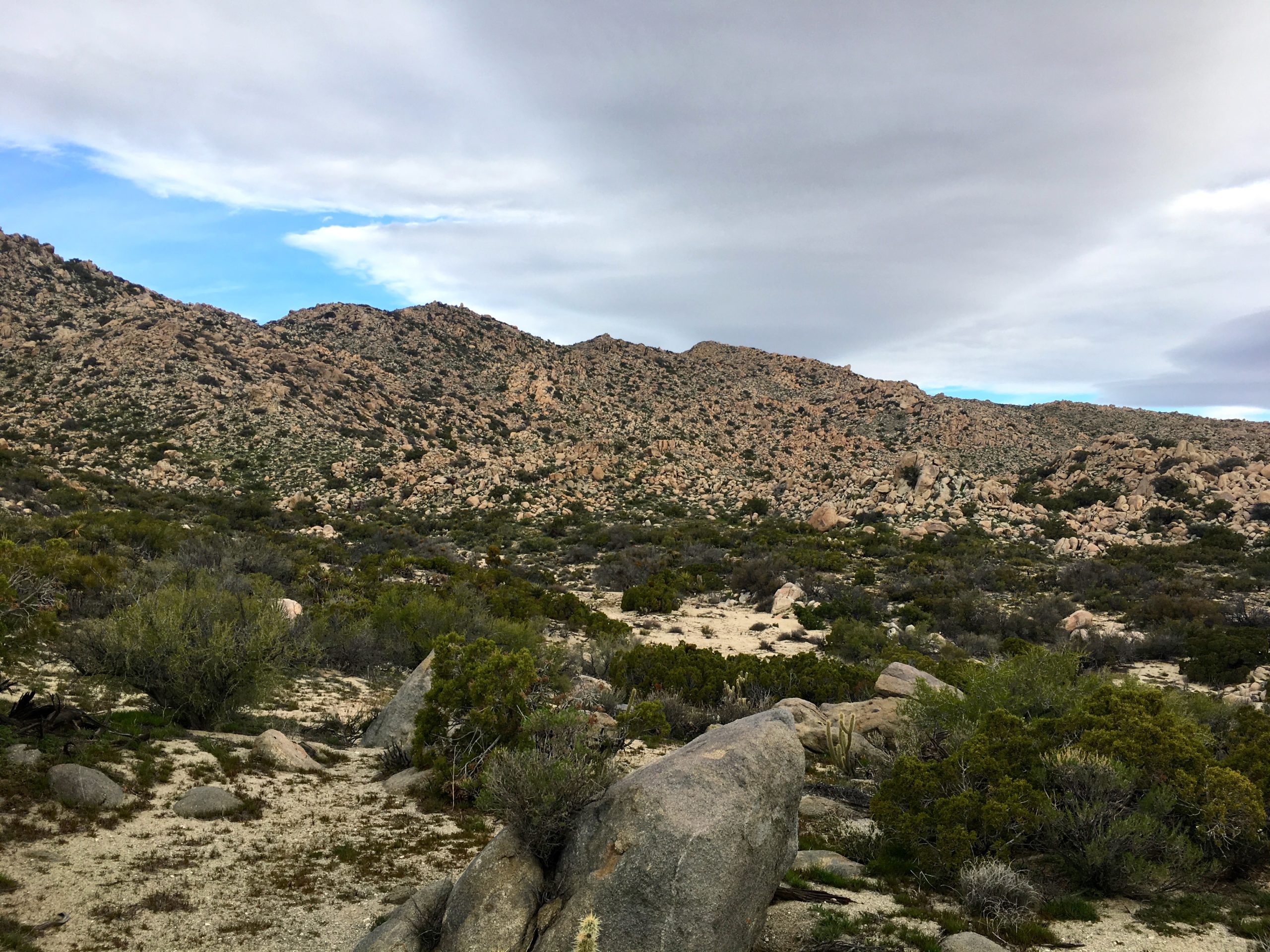 Jacumba Mountain – San Diego Peak Bagging