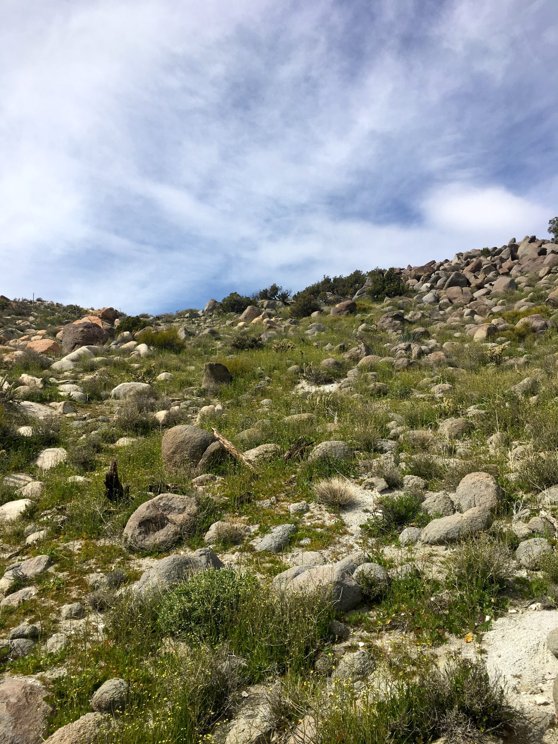 Jacumba Mountain – San Diego Peak Bagging