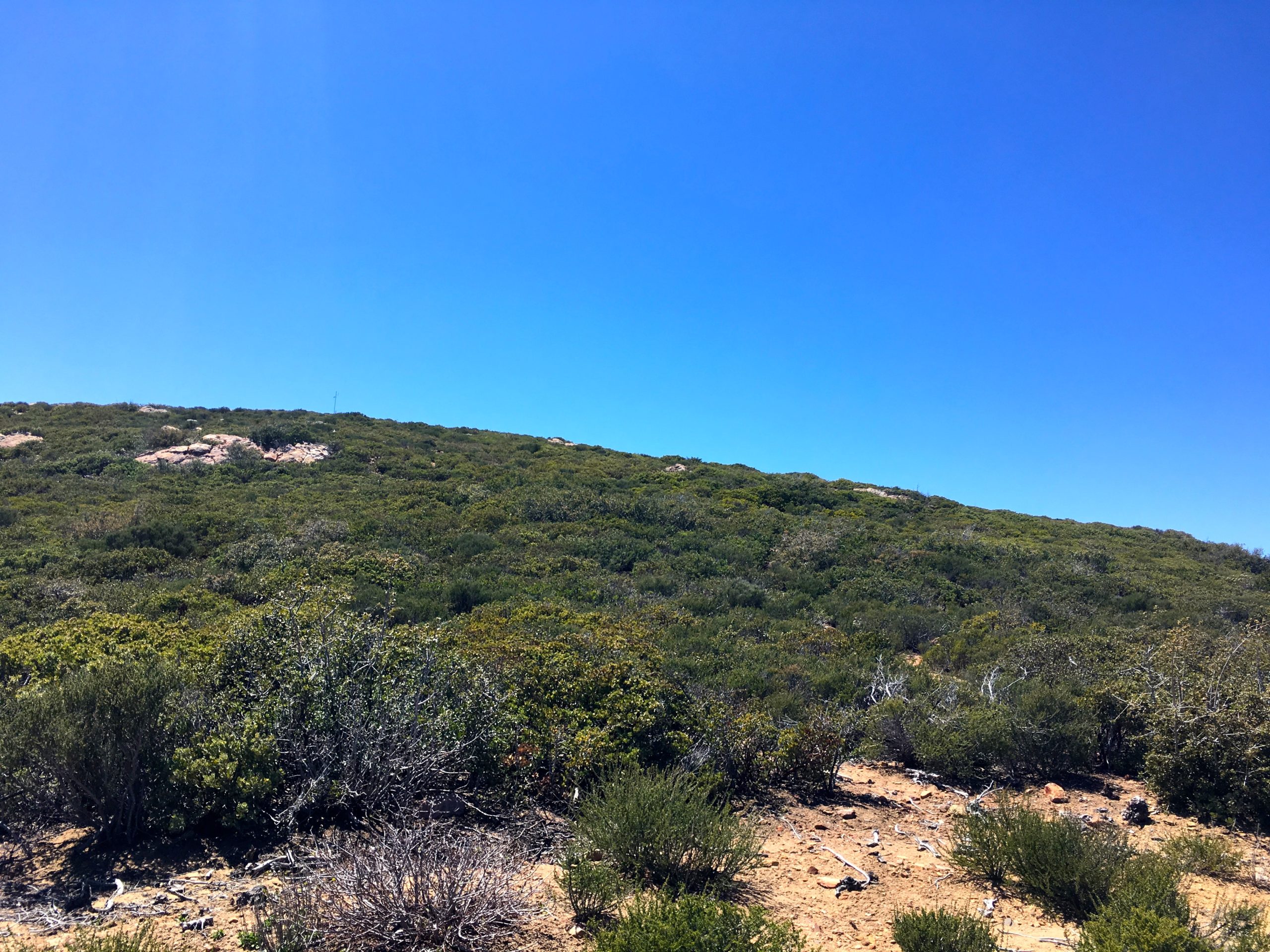 Garnet Mountain – San Diego Peak Bagging