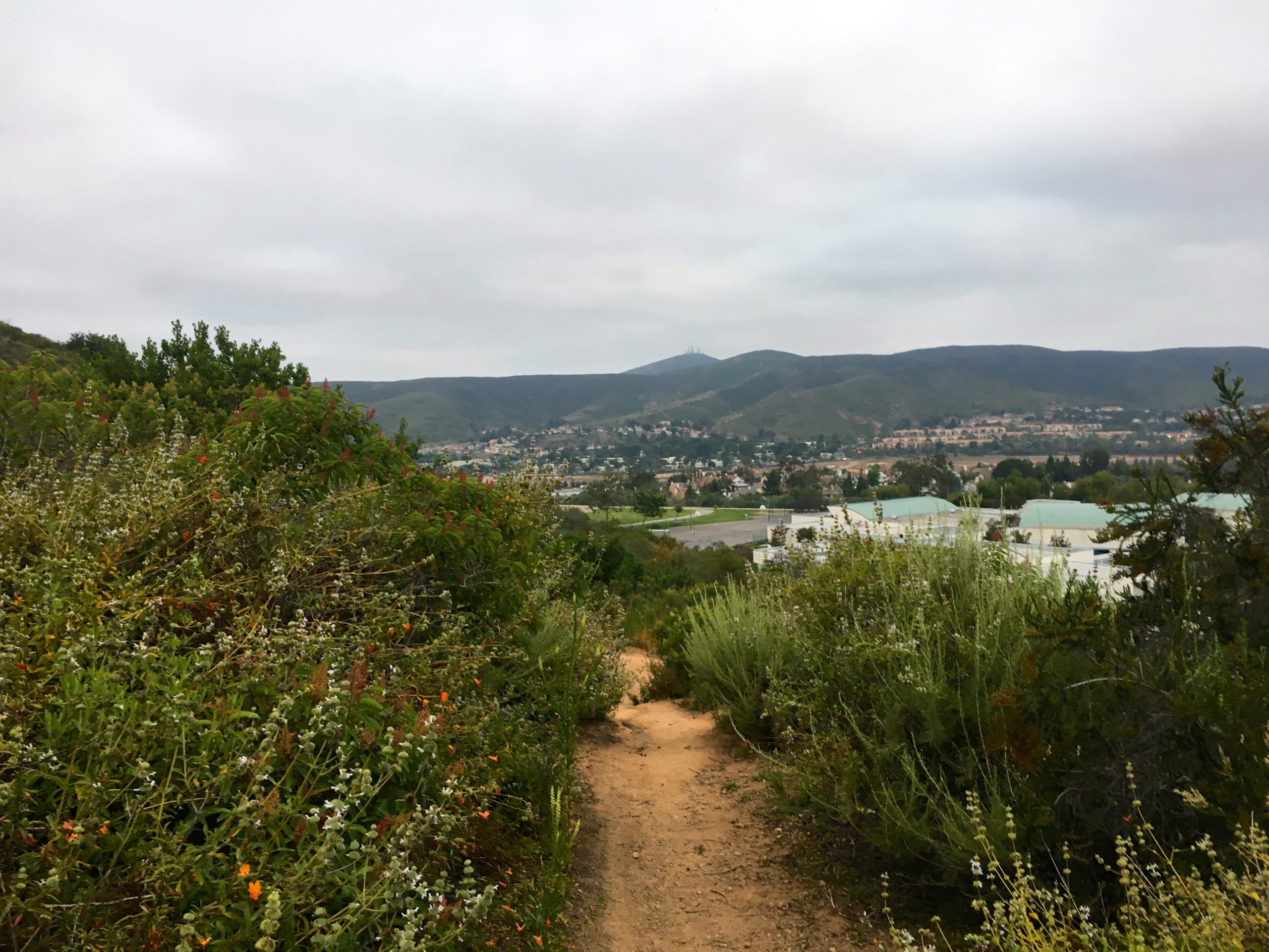 Van Dam Peak – San Diego Peak Bagging
