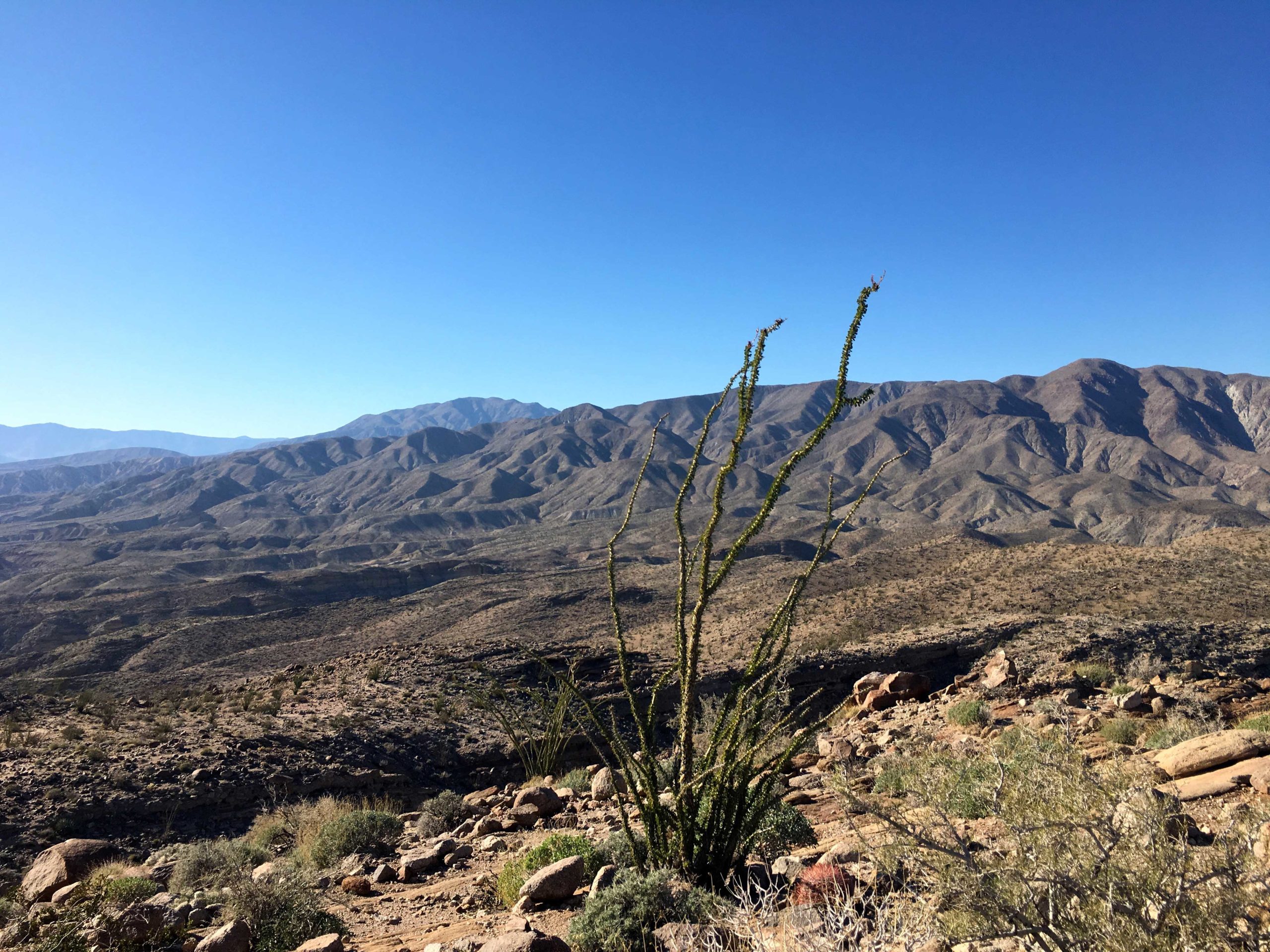 Split Mountain West – San Diego Peak Bagging