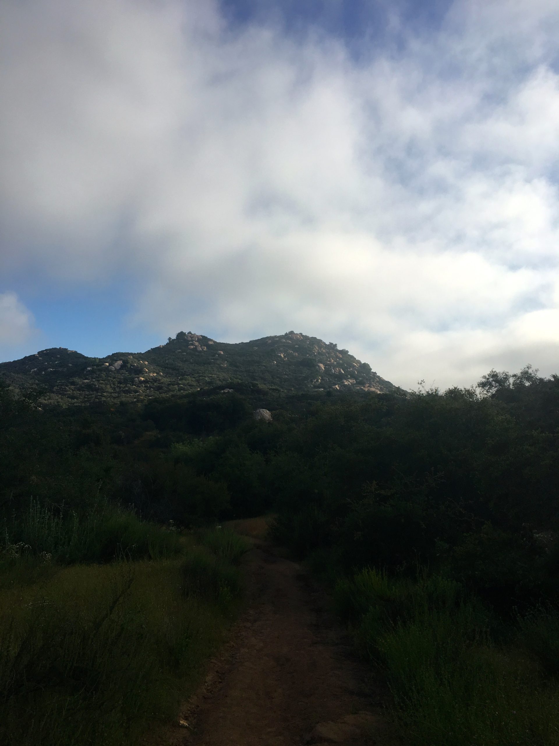 Daley Ranch & Burnt Mountain – San Diego Peak Bagging
