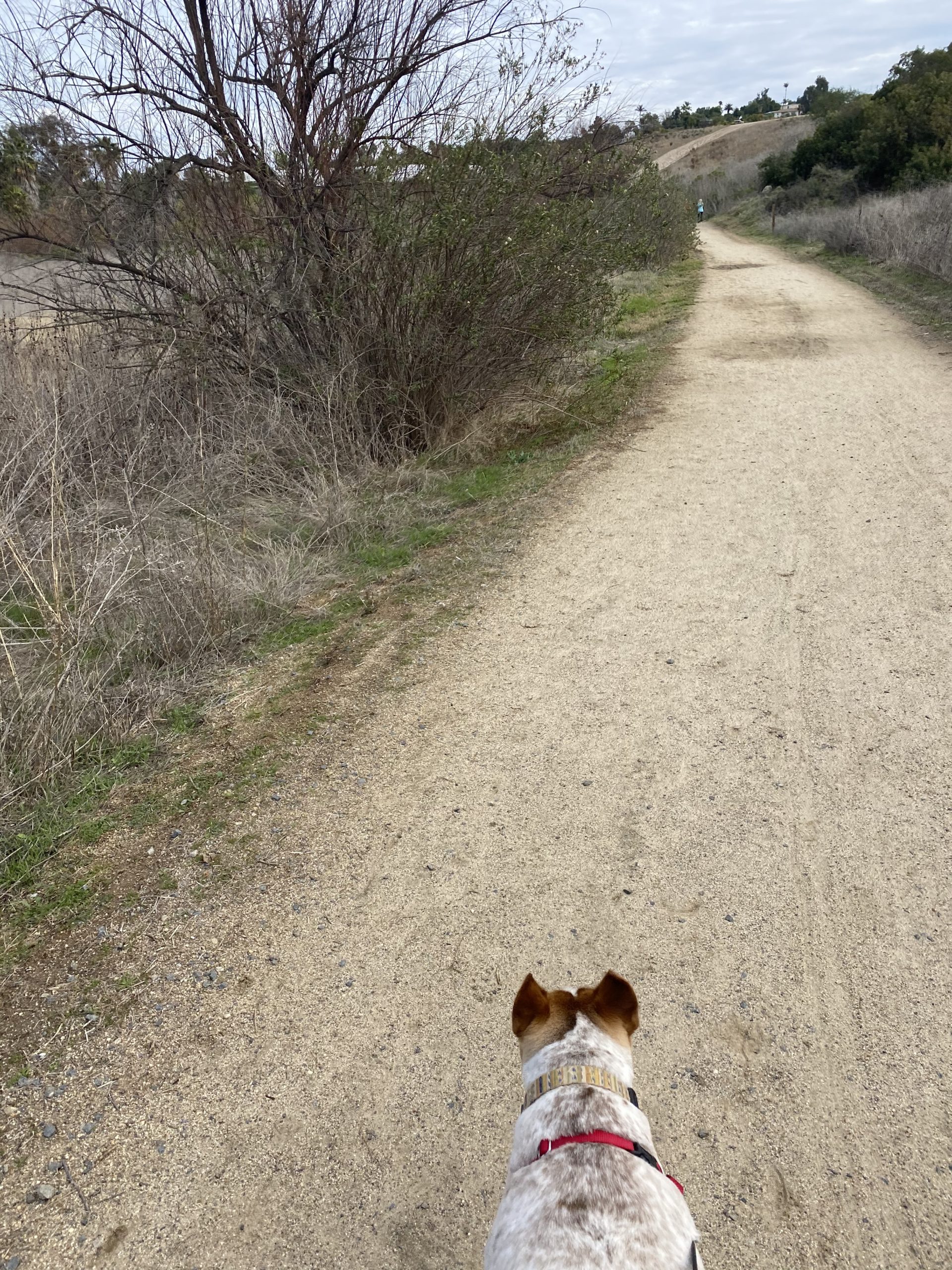 Guajome Regional Park – San Diego Peak Bagging