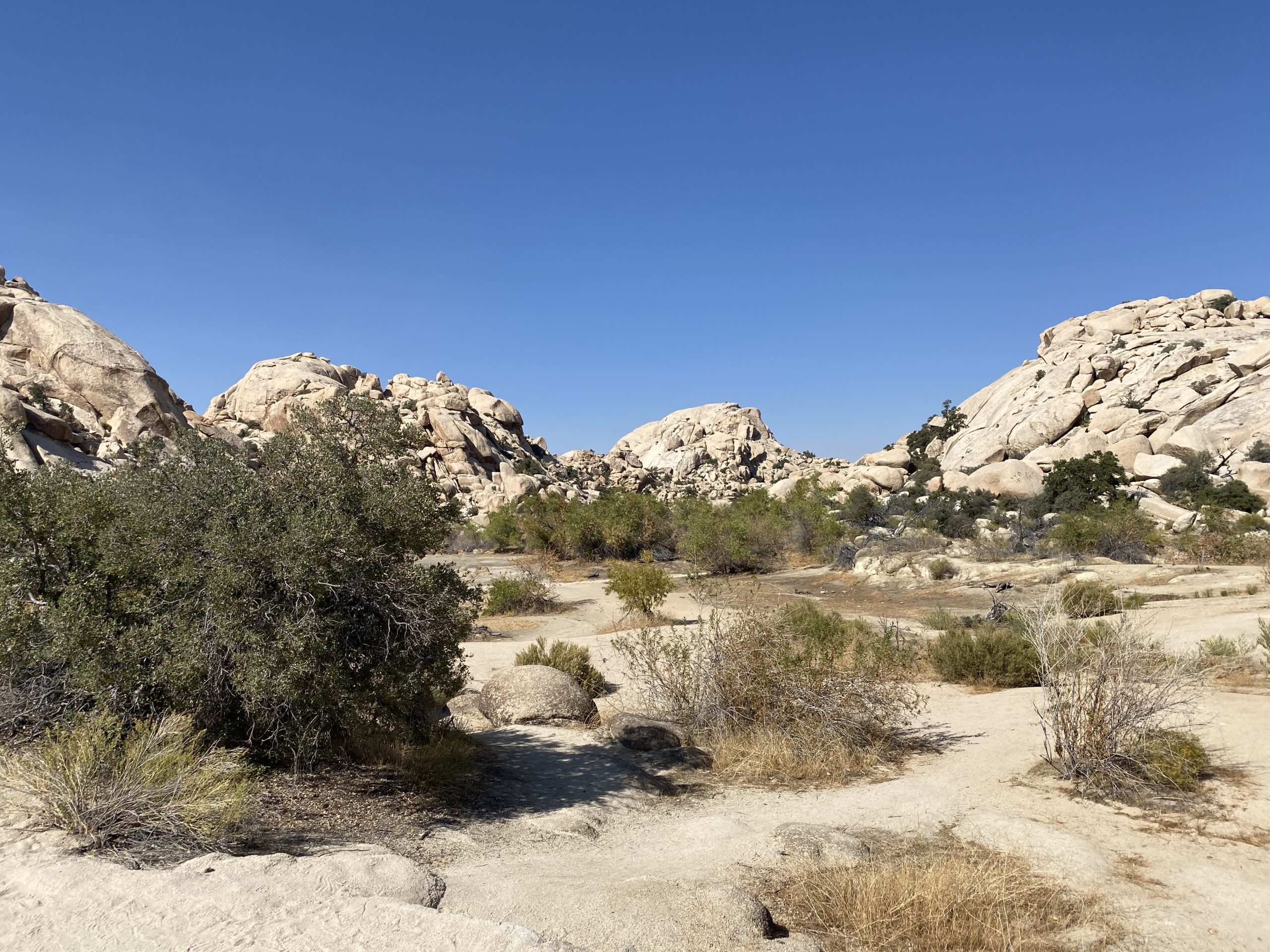 Barker Dam Loop – San Diego Peak Bagging
