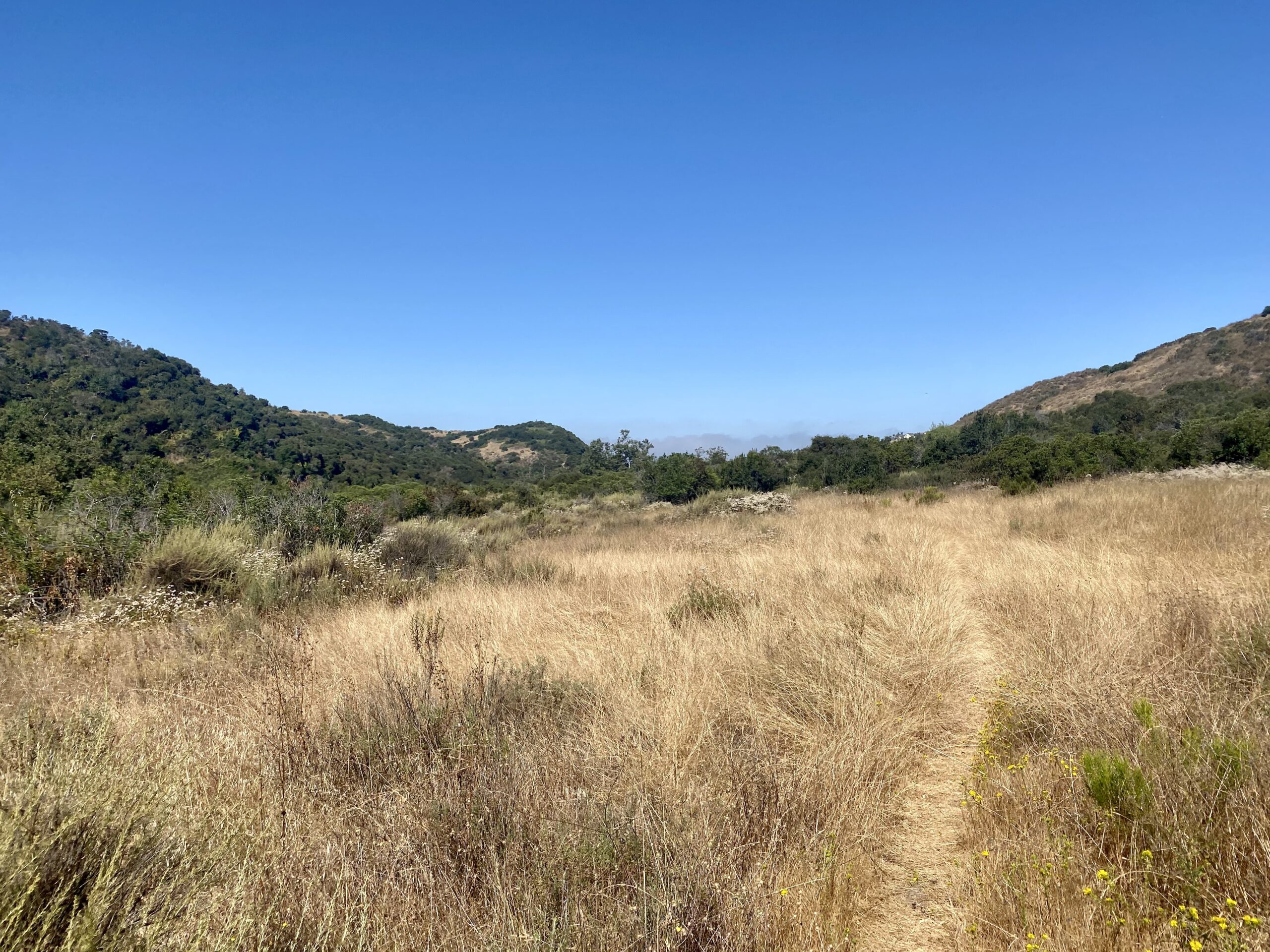 Lopez Canyon – San Diego Peak Bagging